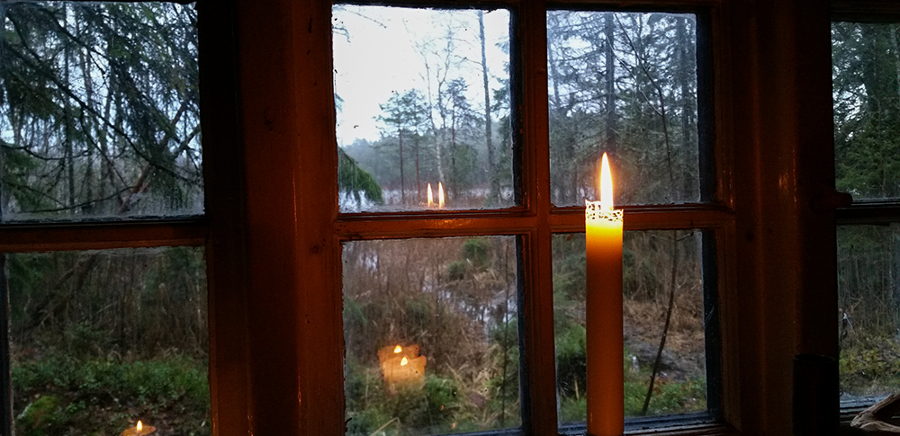 Fridfull jul i gammelskogen - Biotopia