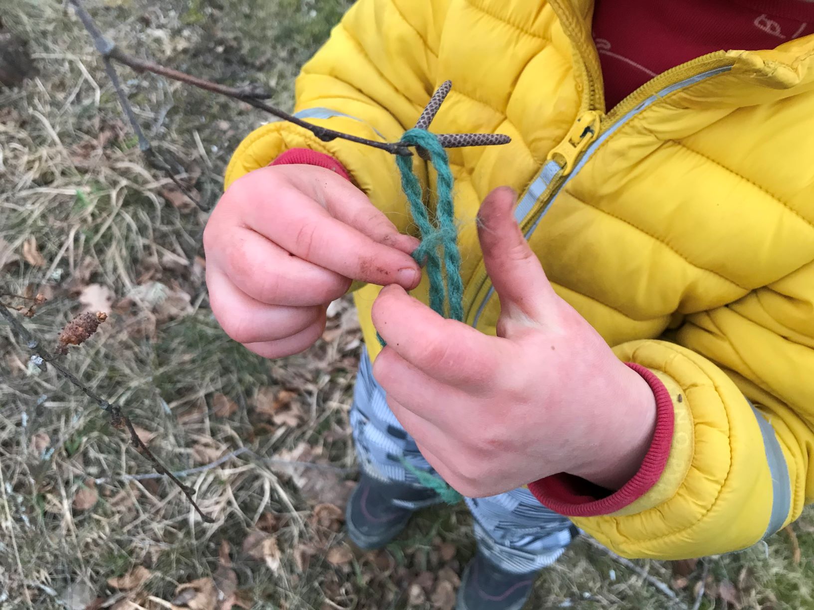 Följ en knopp - Biotopia