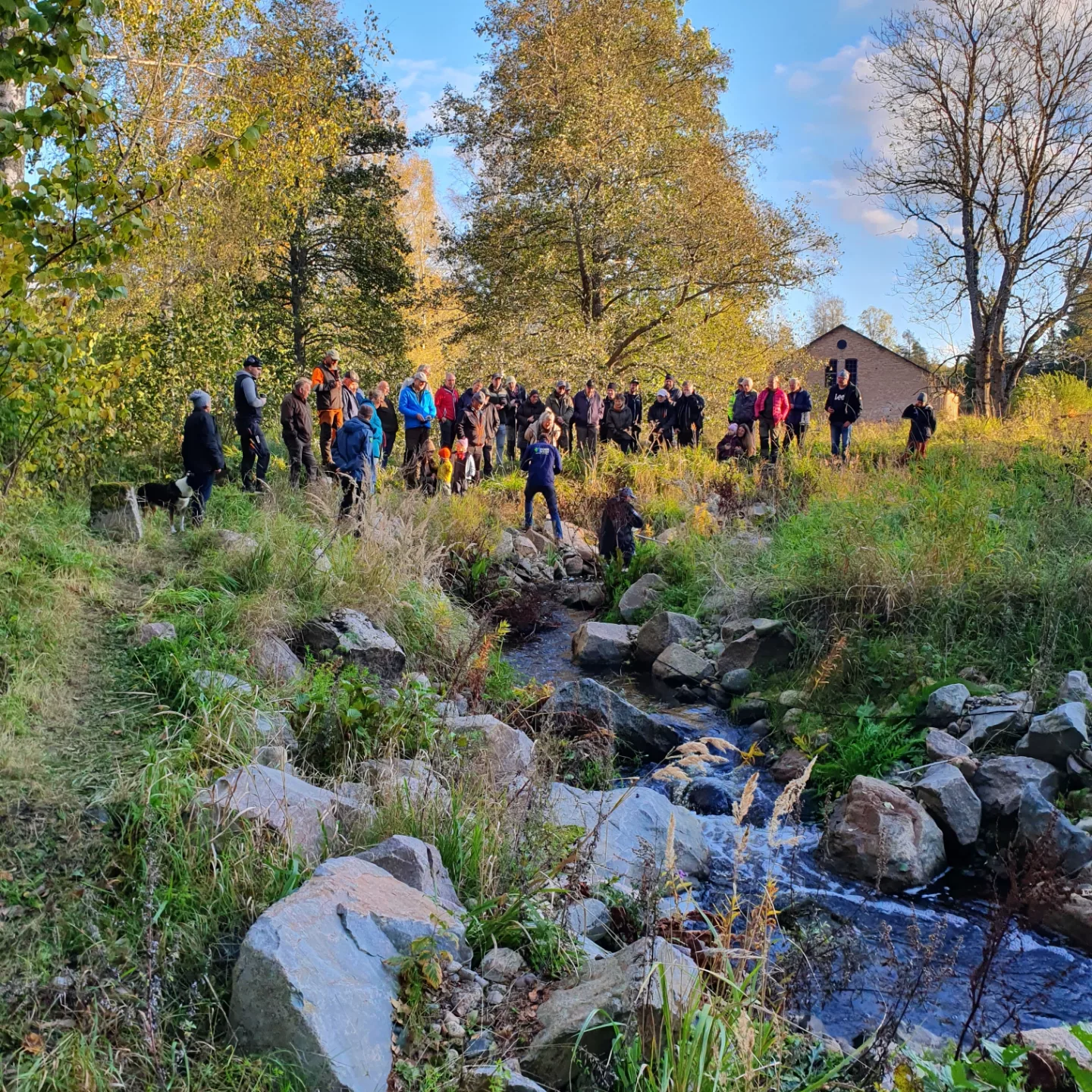 Fisken id går upp till Nerhammaren i Harg - Biotopia